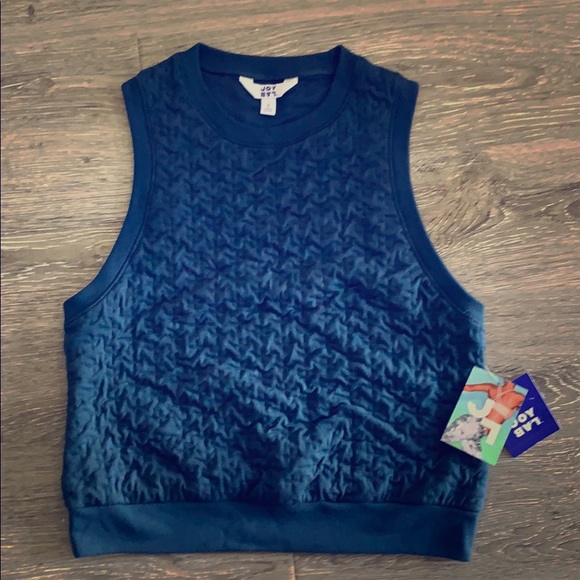 JoyLab | Tops | Nwt Target Joy Lab Blue Cozy Tech Vest Top Size S ...